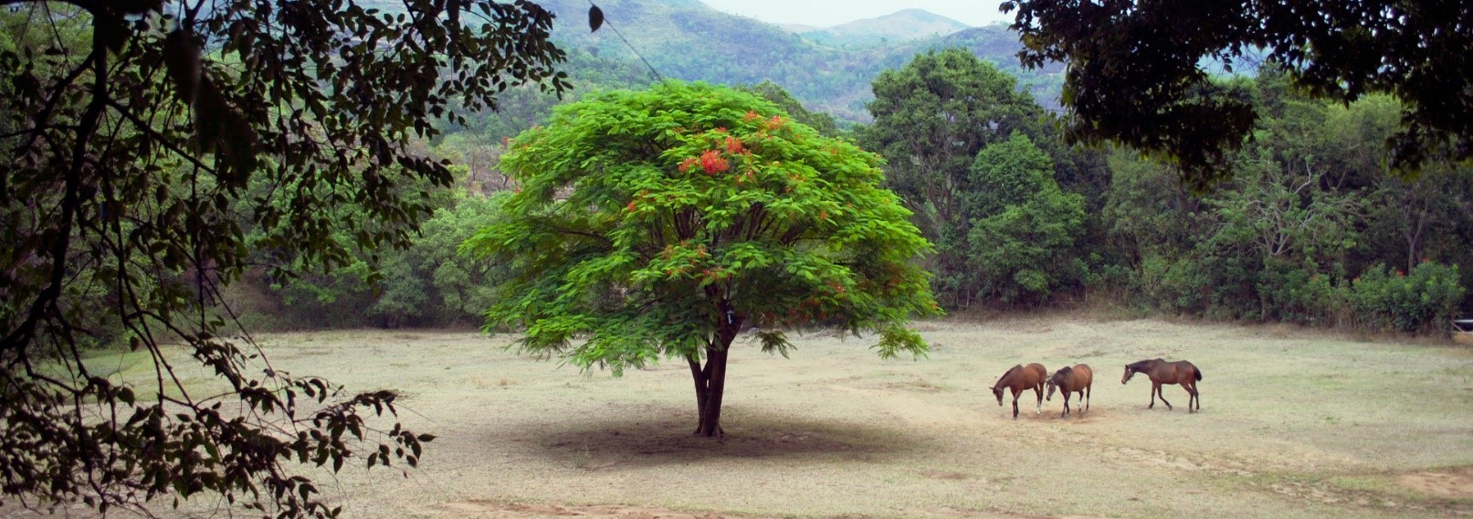 About Us – Aeon Centre Of Cosmology