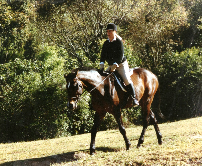 Vedic Symbol of the Universe, Part 3 (of 6), The Horse as an Example in ...